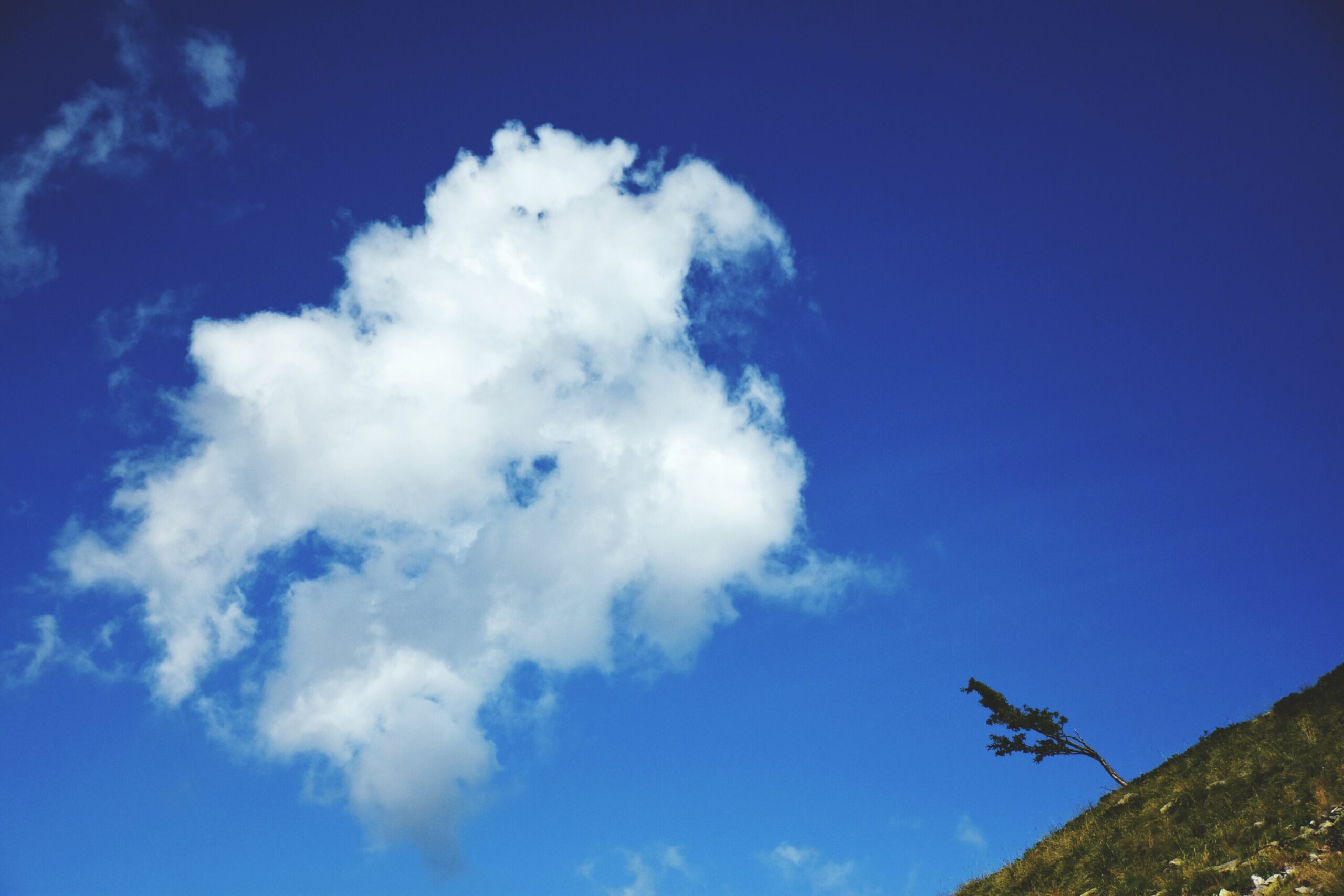 Danza eterea della nuvola Taieri di Otago sospesa nel cielo - Scienze.com