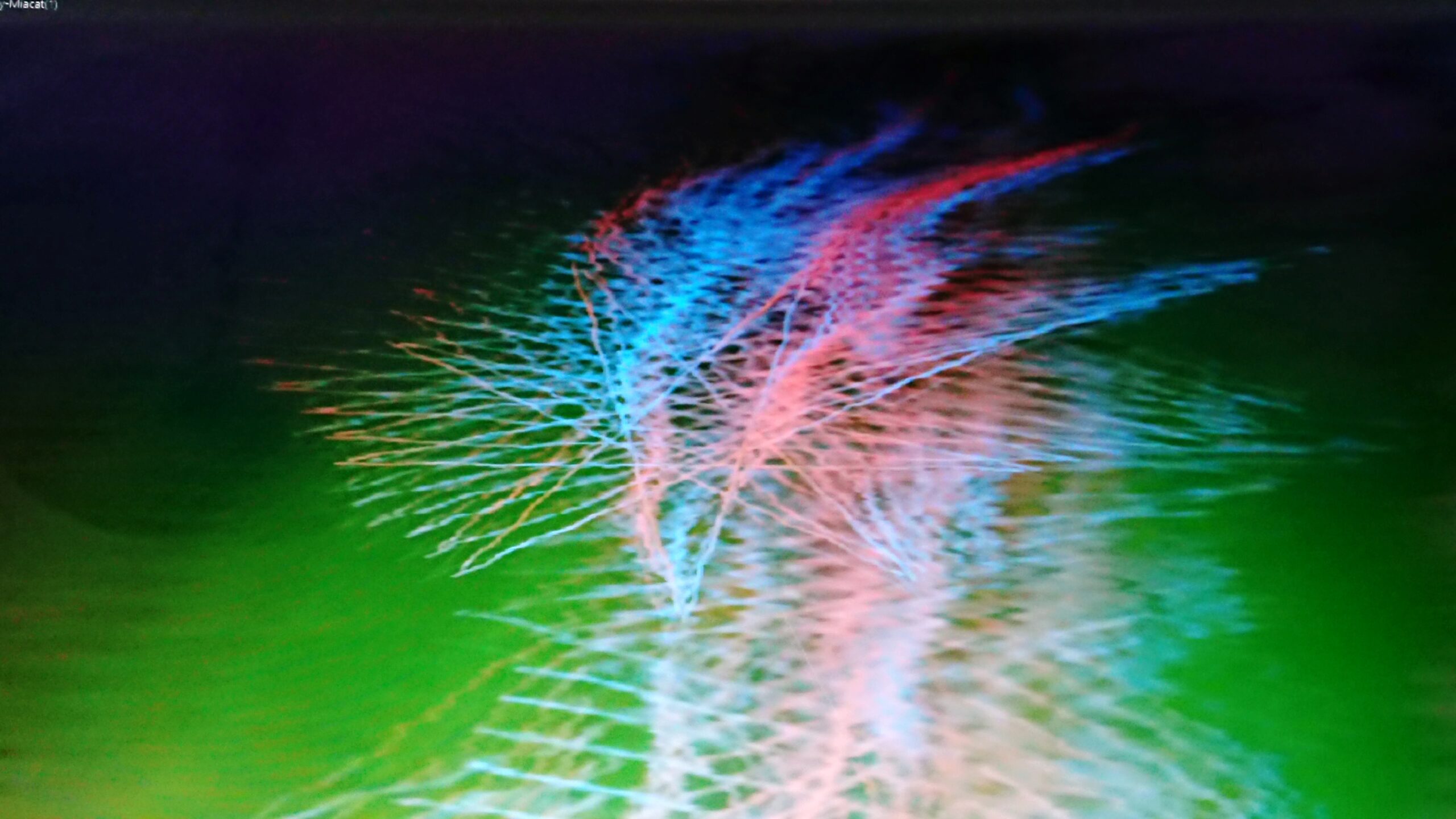 Il calcolo quantistico alla velocità della luce. Il vantaggio della ...