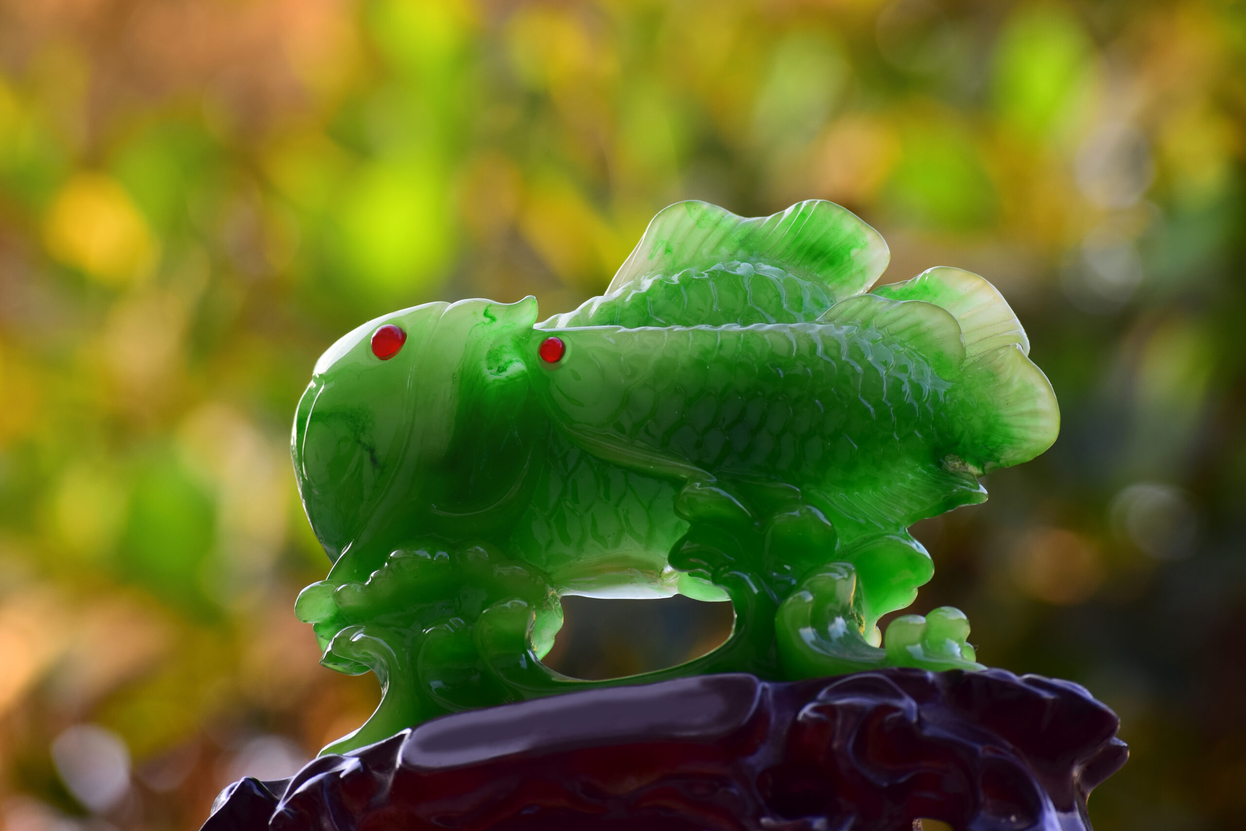 Incontra la rana viola, un fossile vivente dell’era dei dinosauri ...