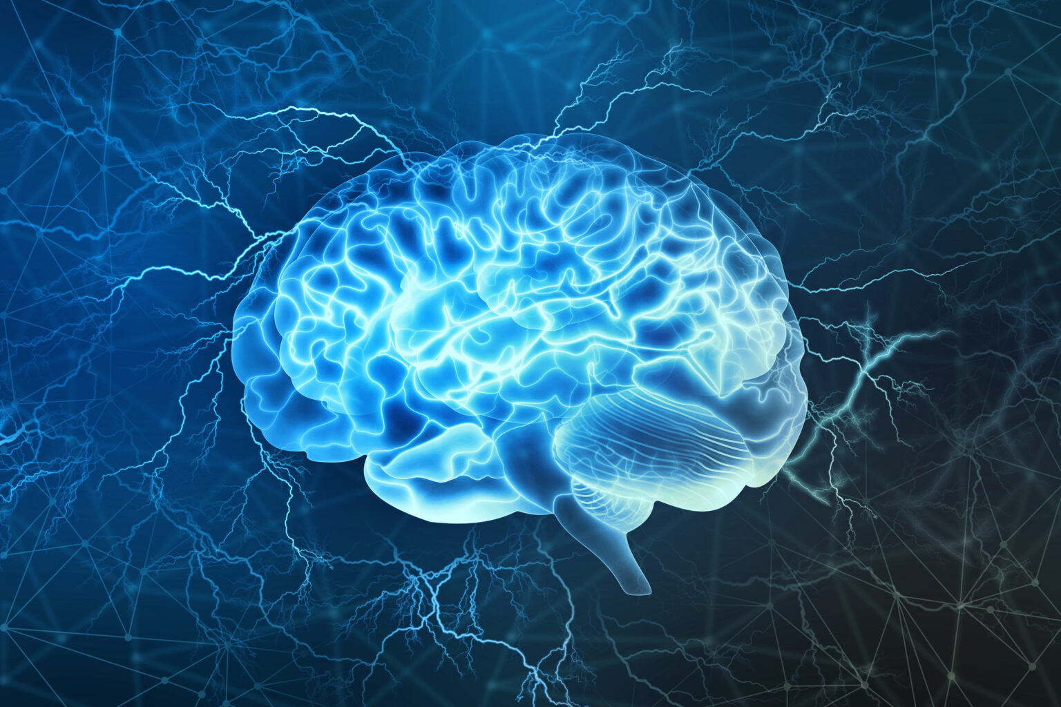 Il cervello adulto e la produzione di nuovi neuroni: una scoperta che ...