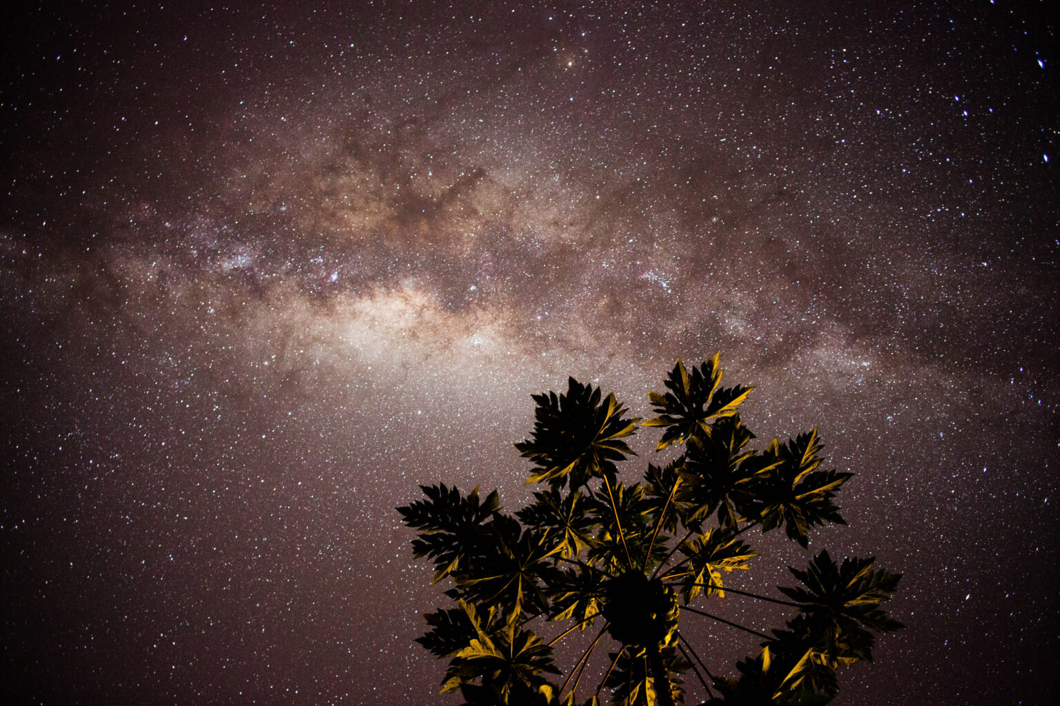 Edwin Hubble e la scoperta dell'universo oltre la Via Lattea: una ...